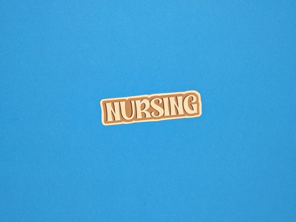 Nursing Sticker - Gift for Nurses - Nurse Stickers - Nursing Student ...